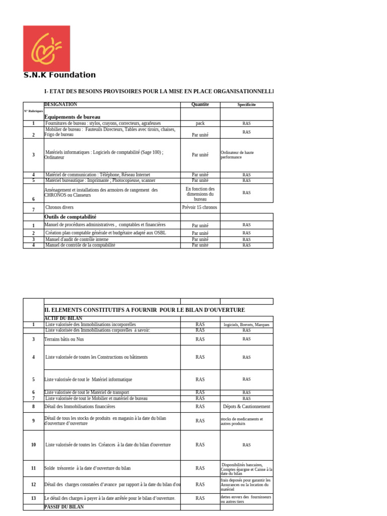 Besoins Organisationnels SNK Foundation | PDF | Bilan comptable ...