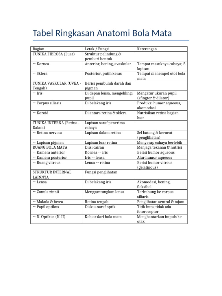 Tabel Anatomi dan Fungsi Bola Mata | PDF