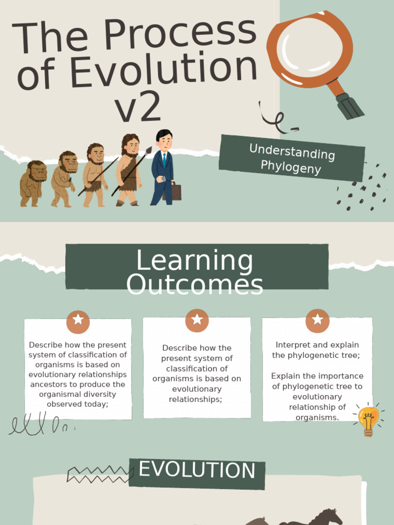 Module 9 Process of Evolution Volume 2 Group 2 | PDF | Phylogenetics ...