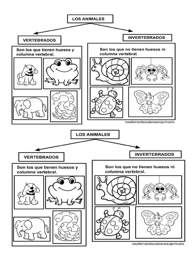 Guia Ciencias Animales Vertebrados e Invertebrados | PDF