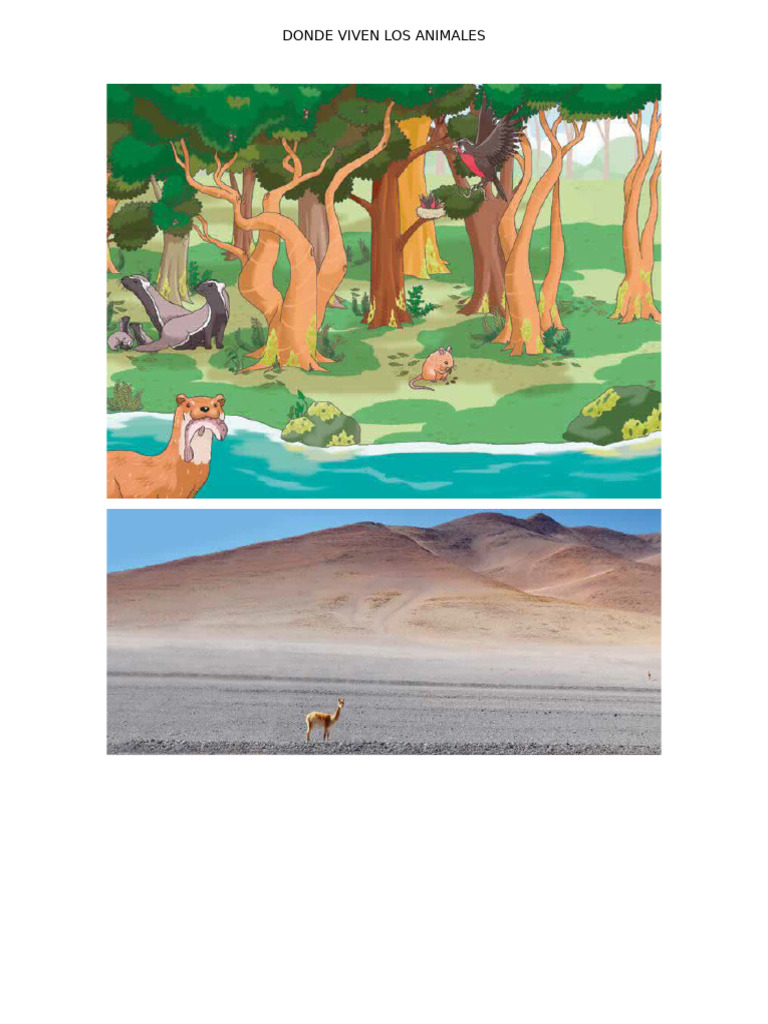 Donde Viven Los Animales | PDF