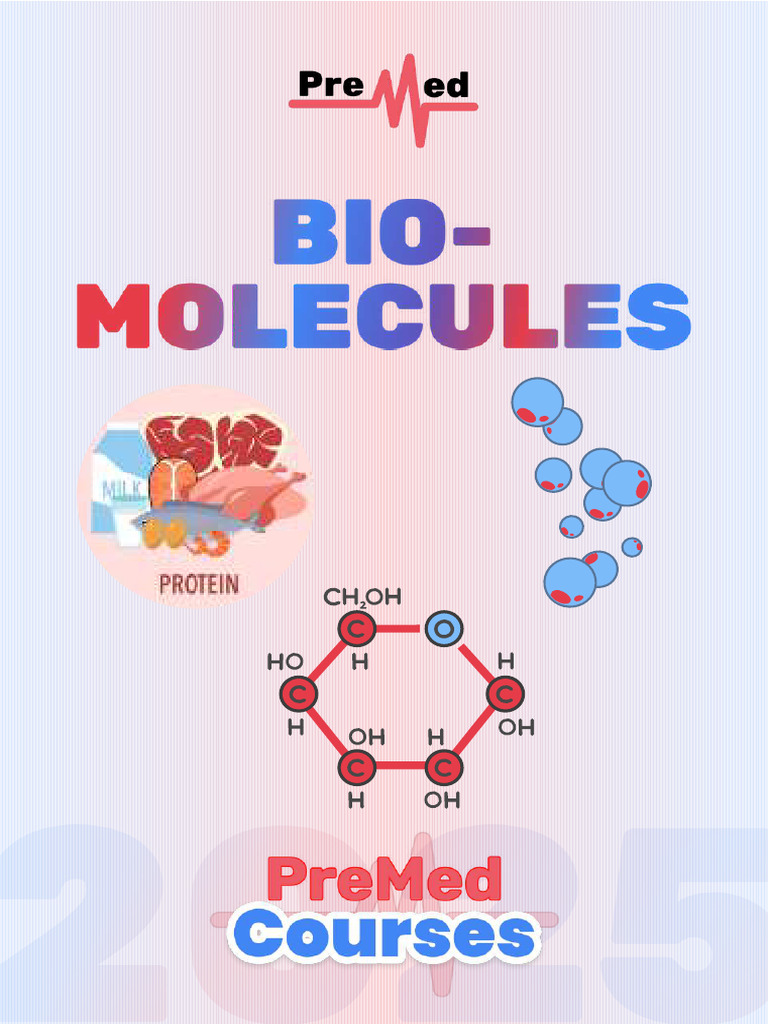 Biology Worksheet on Biomolecules | PDF | Enzyme | Fatty Acid
