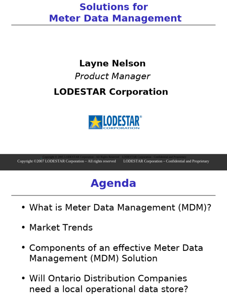 3 Layne Nelson Presentation | PDF | Information Science | Information ...