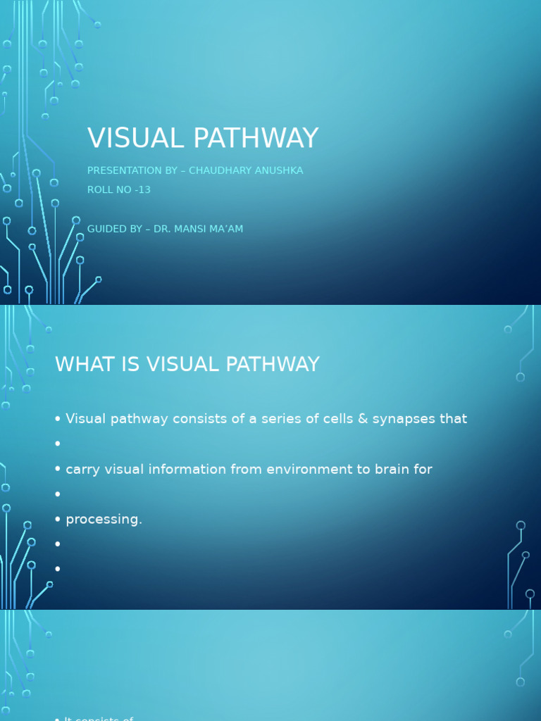 Understanding the Visual Pathway | PDF | Visual System | Retina