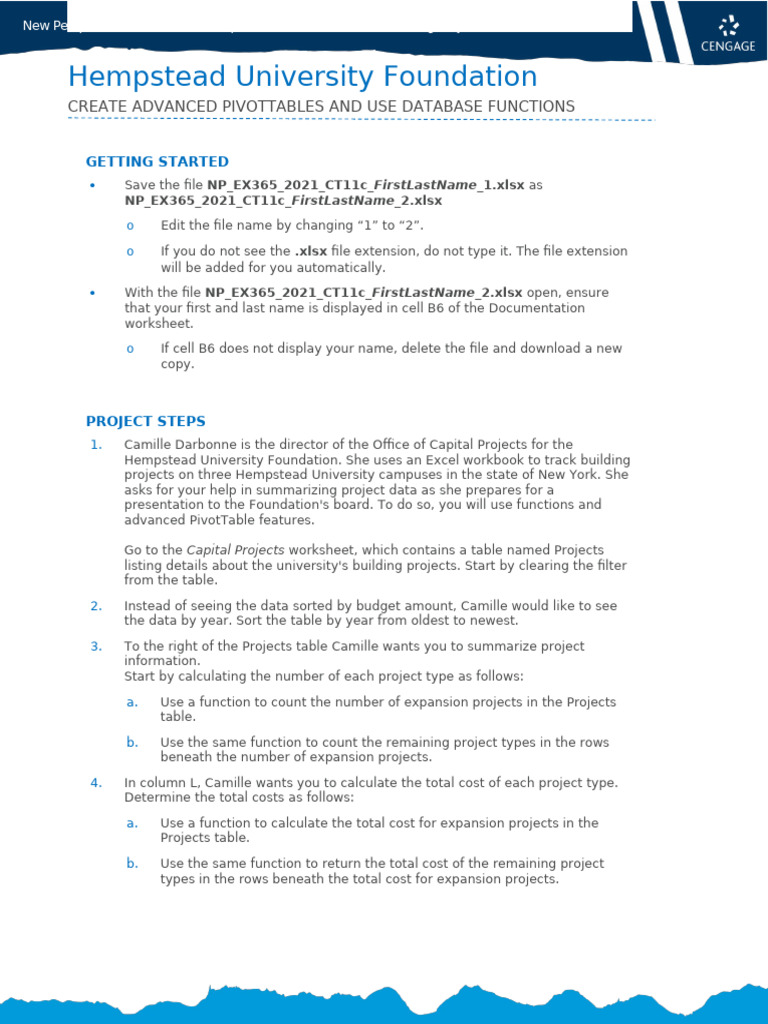 Instructions NP EX365 2021 CT11c | PDF | Microsoft Excel | Data Management