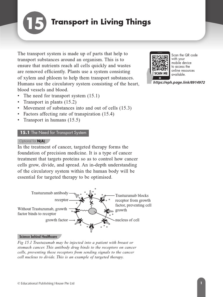 C15-Transport in Living Things-Study Note-8 | PDF | Heart Valve ...