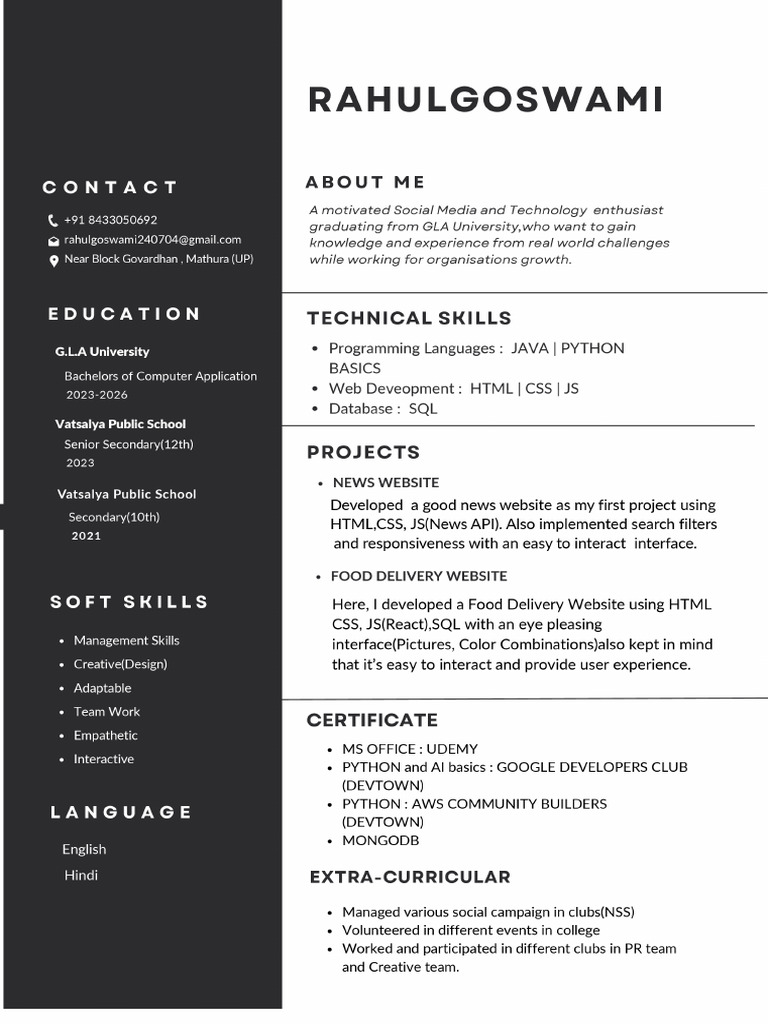 Grey Modern Professional CV Resume | PDF