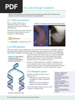 Amoeba Sisters Mutations Recap Guide | PDF | Genetic Code | Point Mutation