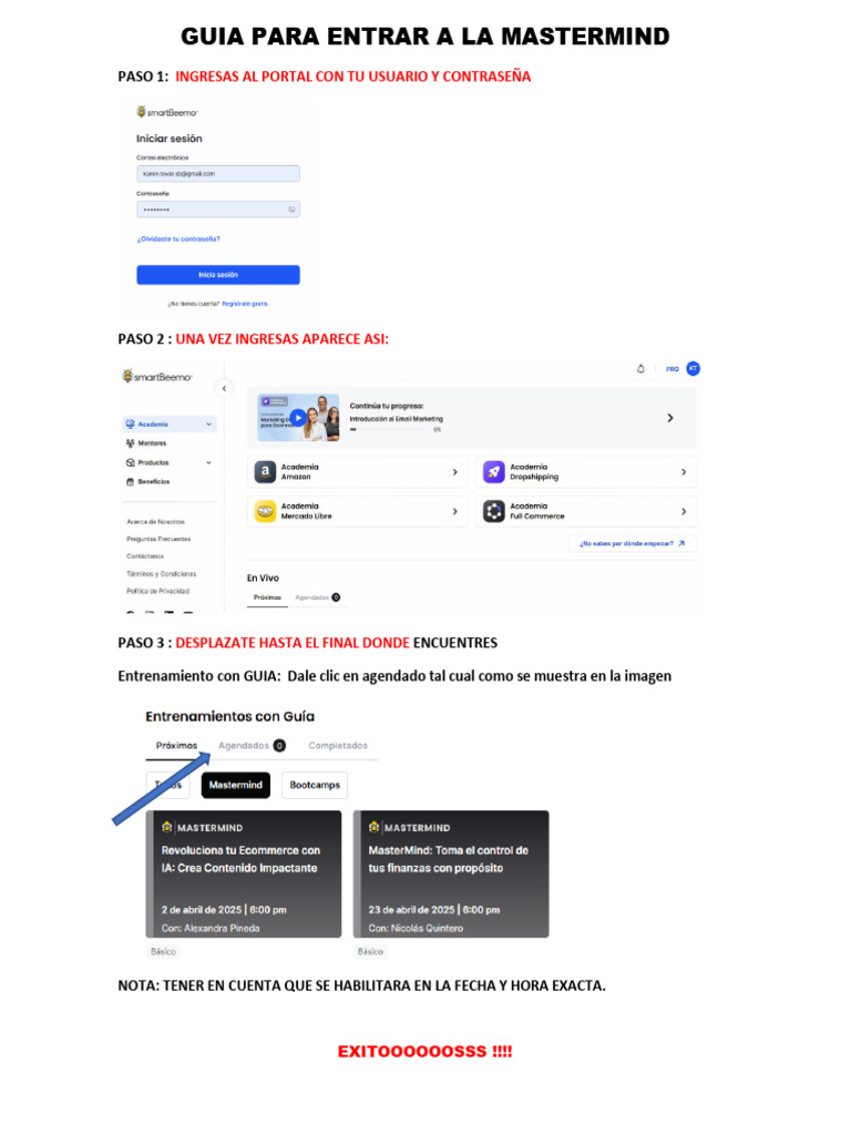 Guia para Entrar A La Mastermind | PDF