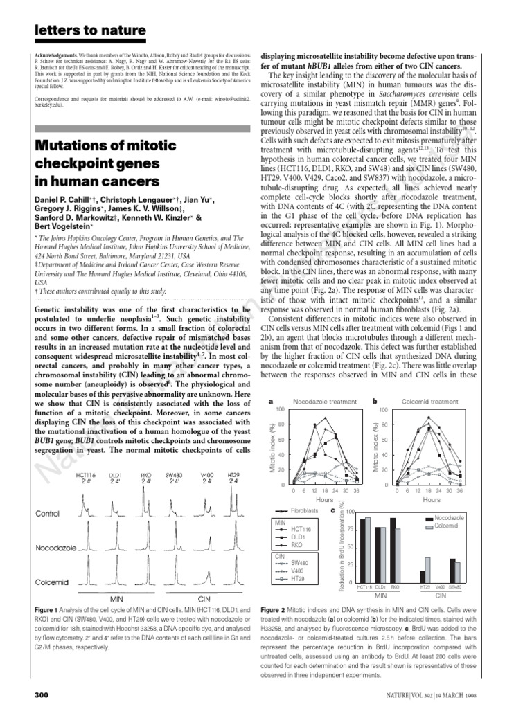 1998 Mutations of Mitotic Checkpoint Genes in Hum | PDF | Mitosis ...