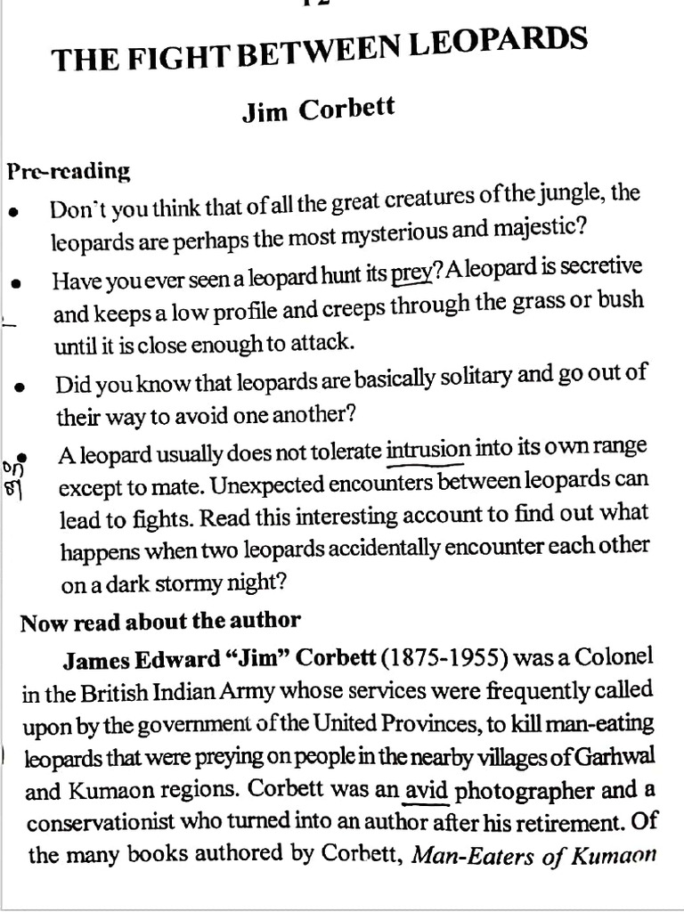 Fight Between Leopards | PDF