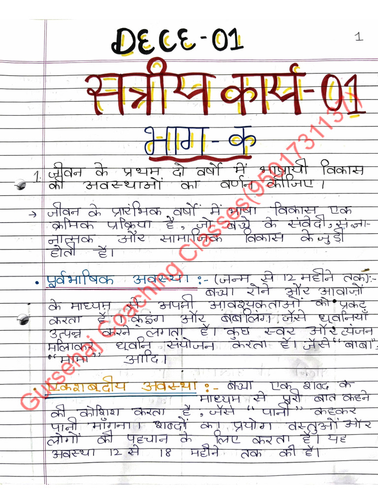 DECE01 Assignment 2025-26 (Hindi) | PDF