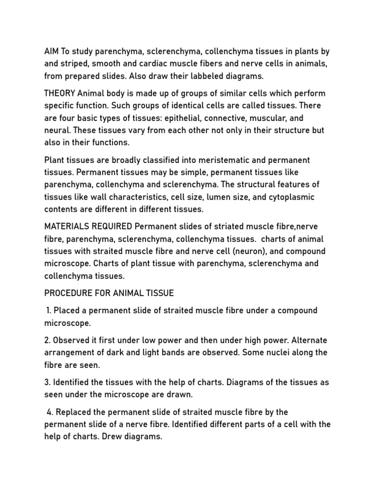 Plant and Animal Tissue Study Guide | PDF