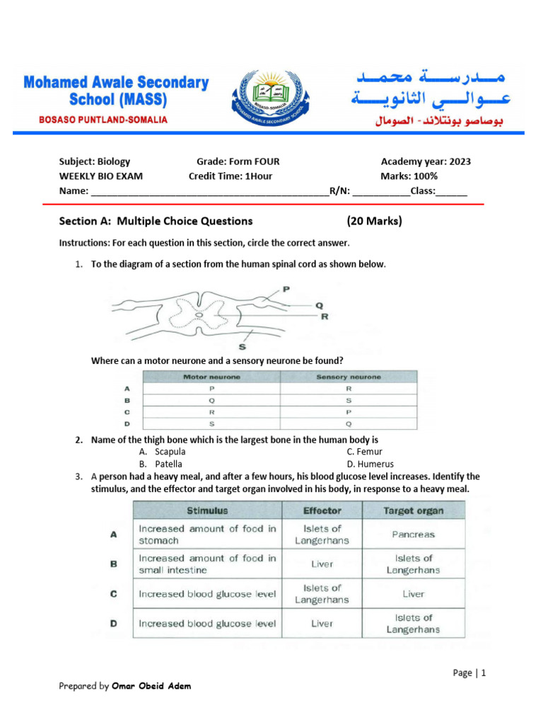 Final f4 Bio Exam May-06-2023 | PDF | Axon | Stimulus (Physiology)