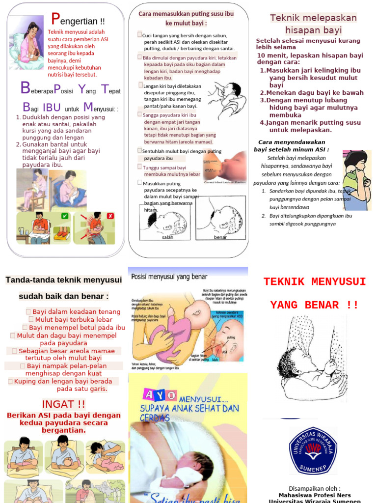 Leaflet Teknik Menyusui Yang Benar | PDF