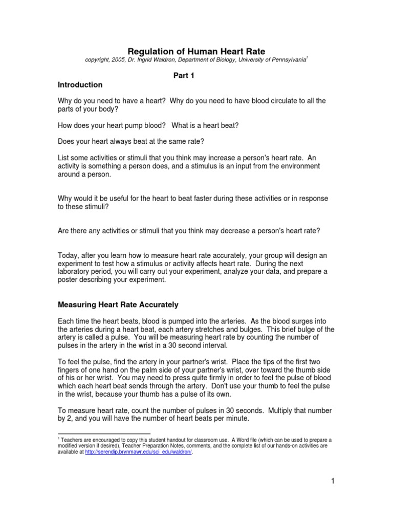 Heart Rate Protocol | PDF | Heart Rate | Experiment