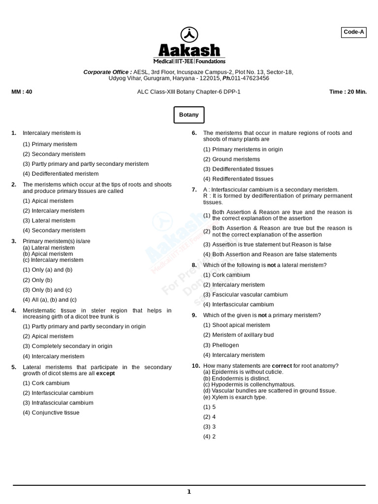 ALC Class-XIII Botany Chapter-6 DPP | PDF | Plant Stem | Leaf