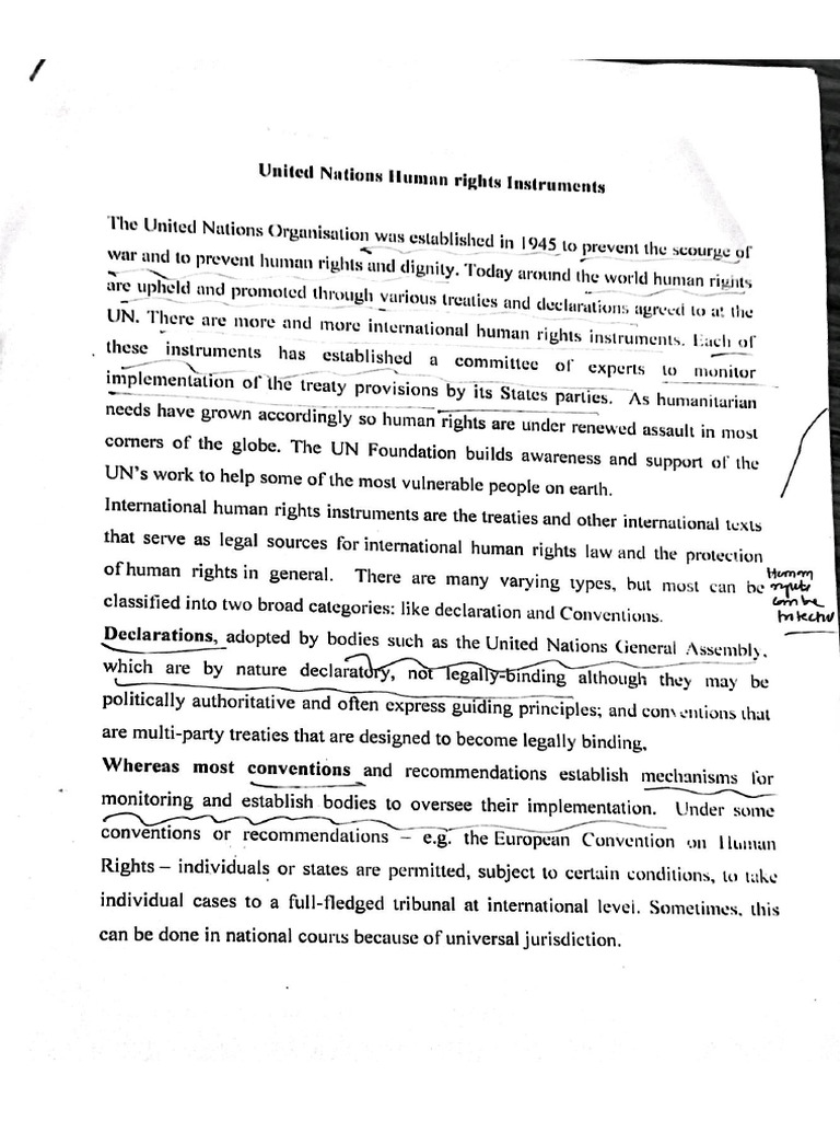 United Nations Human Rights Instrument | PDF