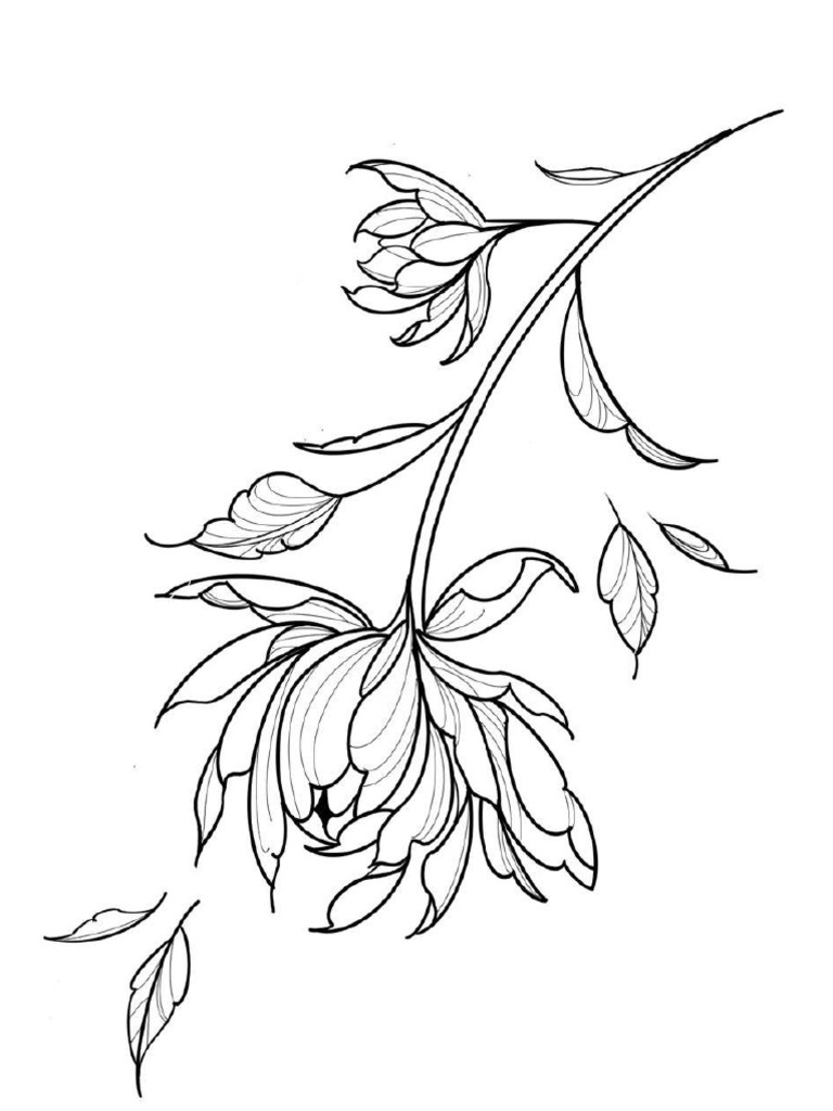 Documento (7) 4 | PDF