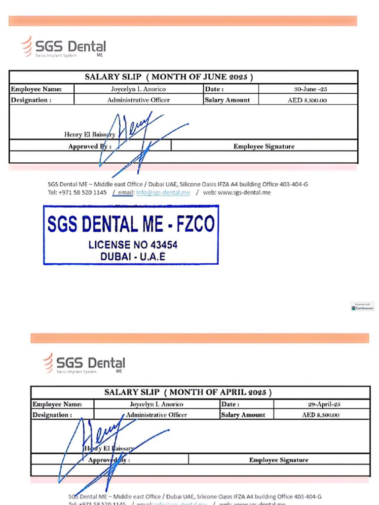 Payslip Updated | PDF