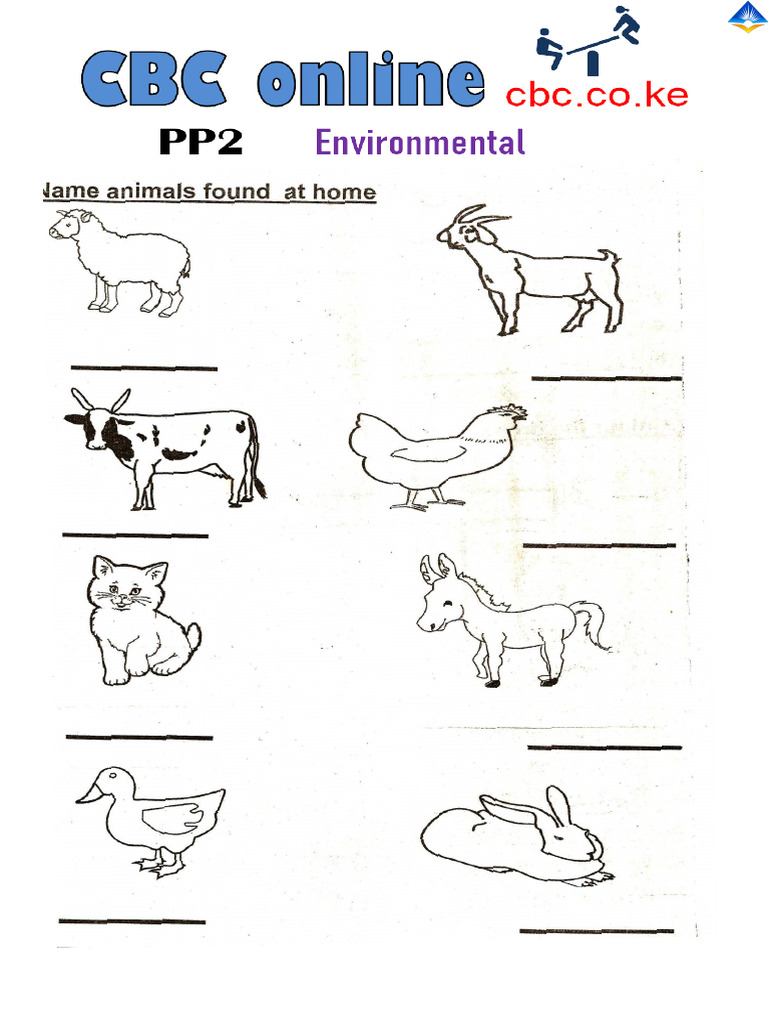 Environmental Pp2 | PDF