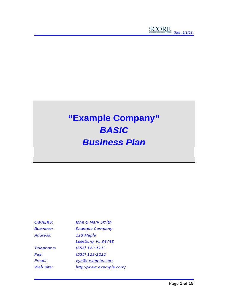 Business Plan Writing Guide | PDF | Inventory | Prices