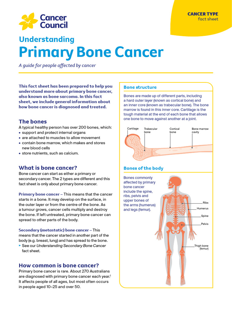 Understanding Primary Bone Cancer | PDF | Cancer | Bone