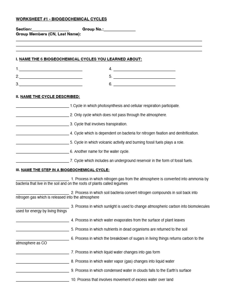 Biogeochemical Cycles Worksheet | PDF | Carbon Cycle | Water