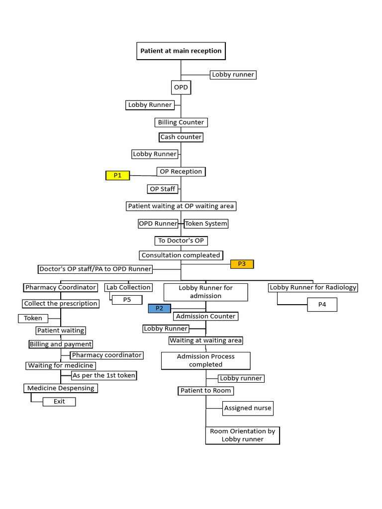 OPD Process Flow 1 | PDF