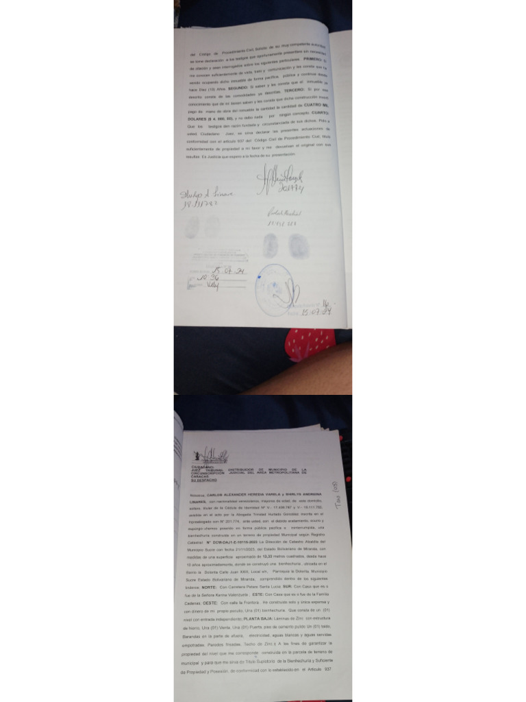 Presentación WPS Office | PDF