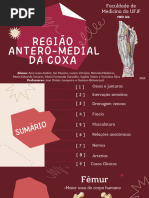 Anatomia da Região Poplítea | PDF | Joelho | Anatomia humana