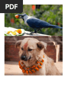 Nepali Unicode Romanized Keyboard Layout | PDF