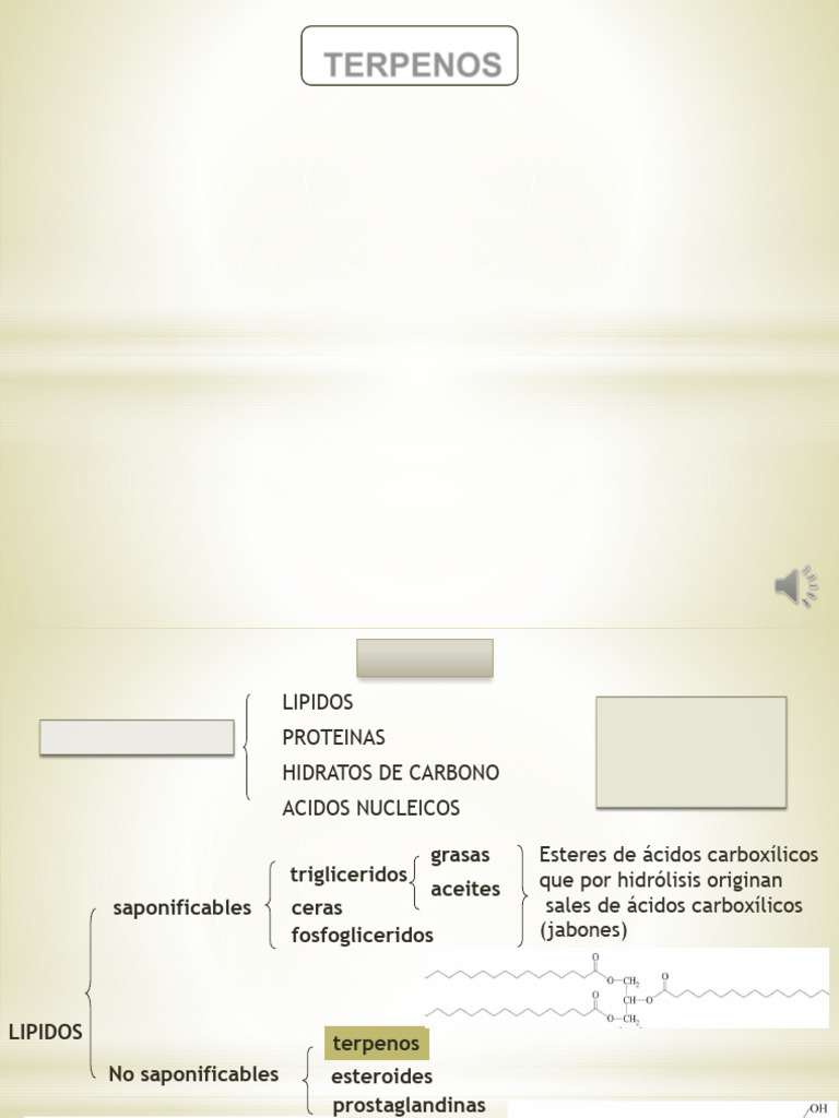 T10 Terpenos Salerno 2021 Pdf Sustancias Químicas Compuestos