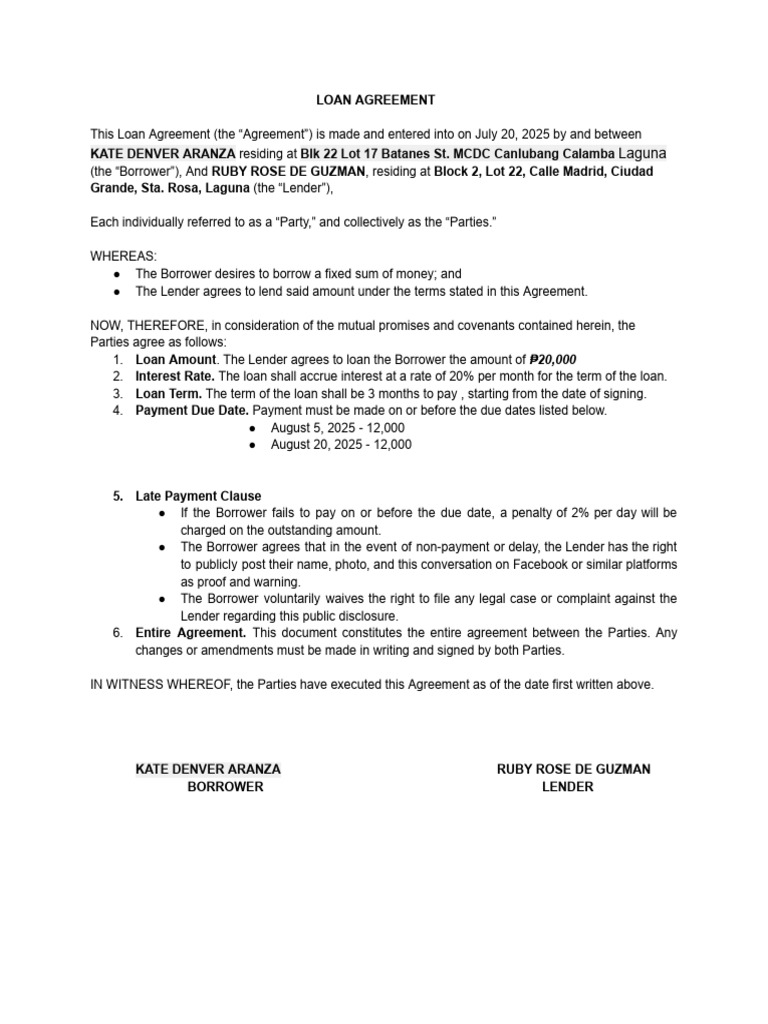 Loan Agreement between Borrower and Lender | PDF