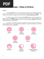 Frog Gastrulation Process Explained | PDF
