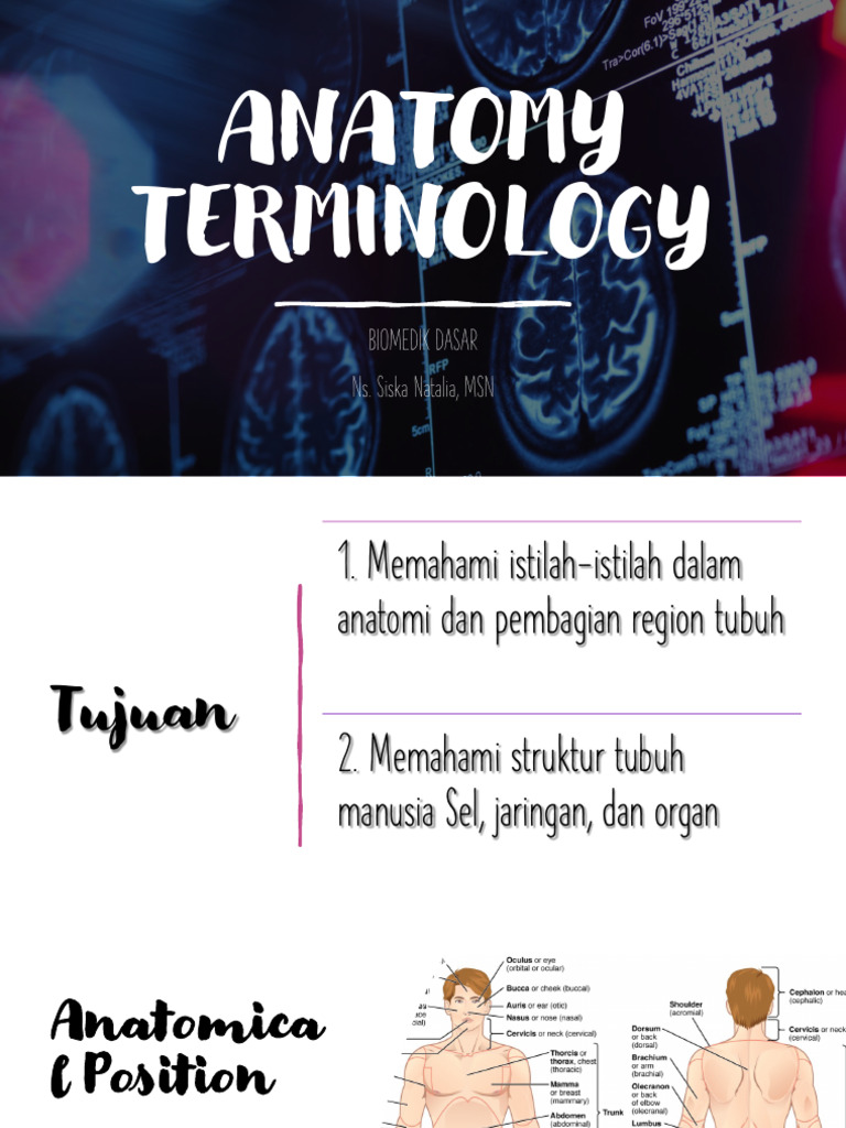 Anatomy Terminology Stevi | PDF