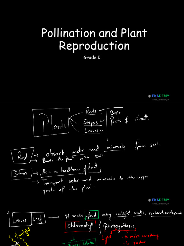 1 Plant Reproduction Pollination | PDF