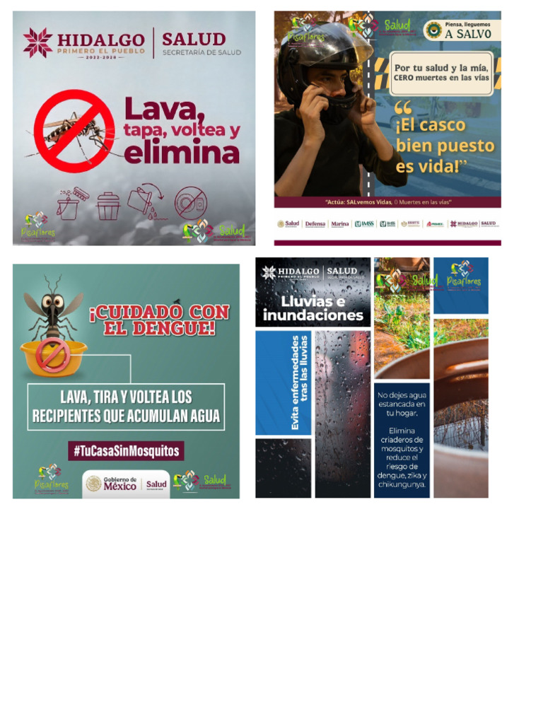 Fichas Informativas 2025 Dengue | PDF