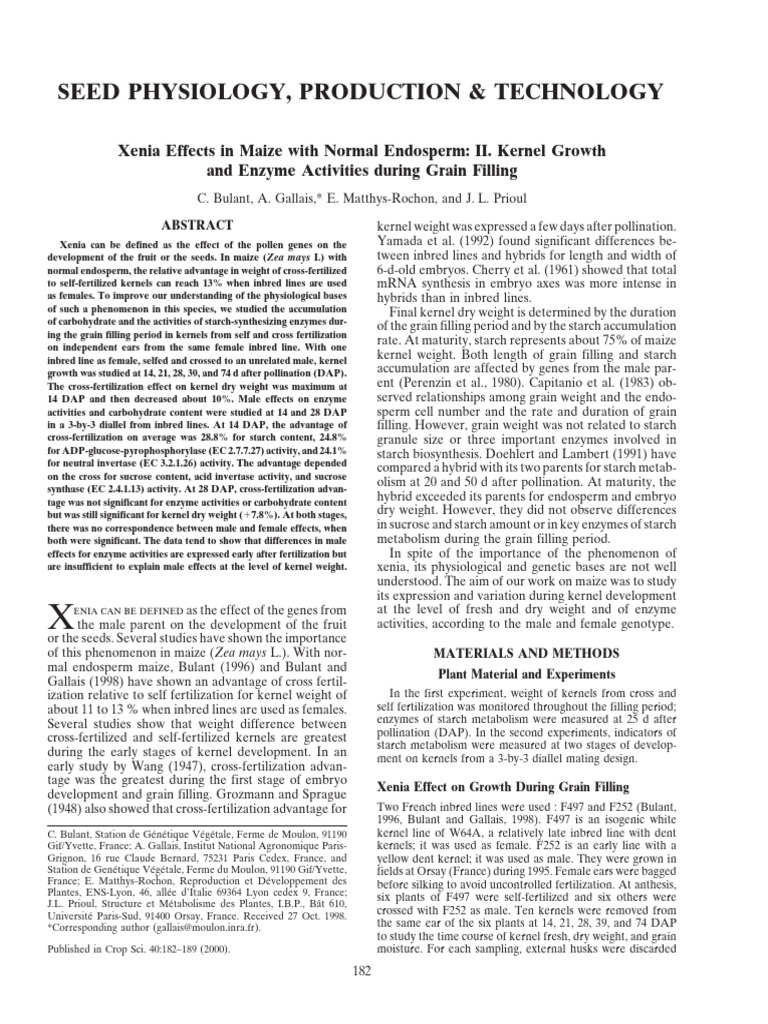 Bulant Et Al., 2000 Maize, Xenia, Kernel Growth | PDF | Seed | Maize