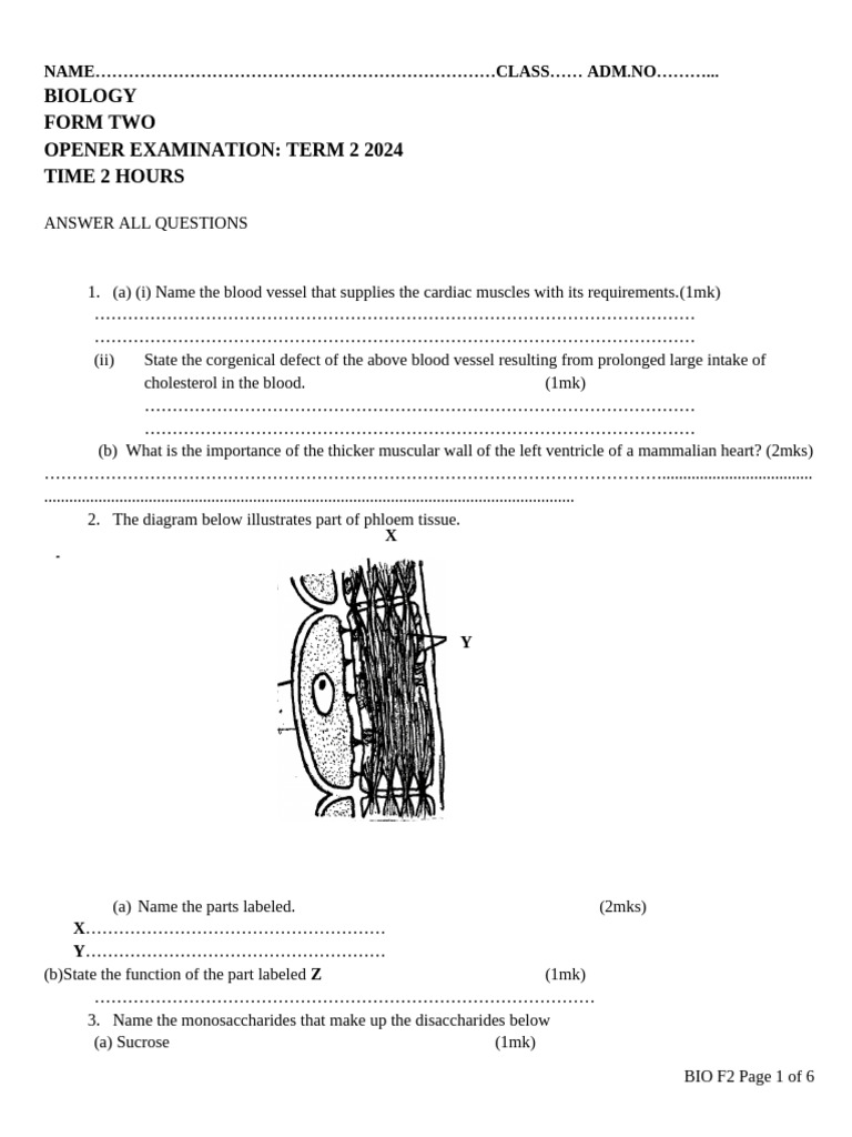 Form Two Biology Term 2 Exam 2024 | PDF | Circulatory System | Physiology