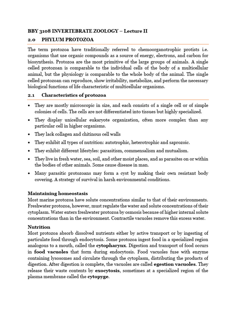 Bby+3108+Invertebrate+Zoology+ +Lecture+II+Notes | PDF | Sponge | Protozoa