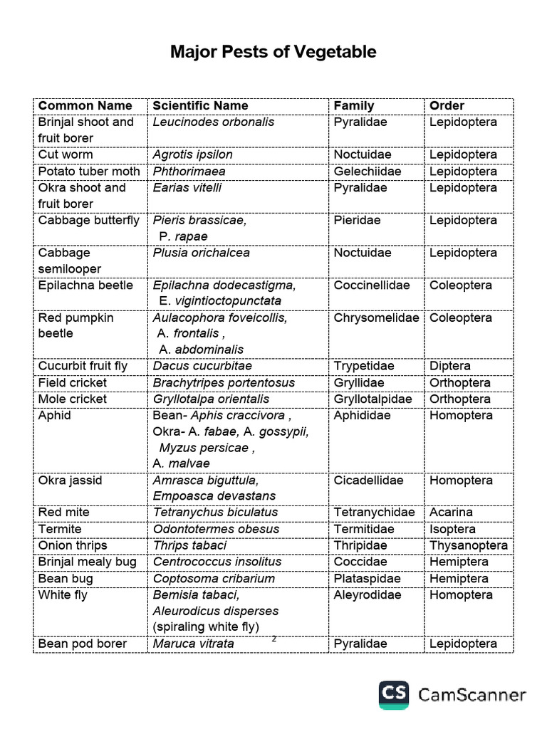 ENT302 Major Pests of Vegetables | PDF | Pupa | Insects