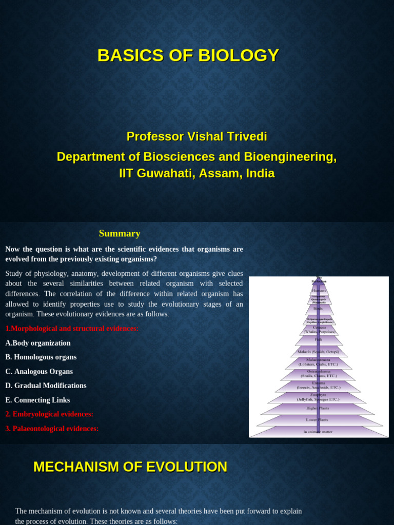Lec 5 - Theories of Evolution (Part 2) | PDF | Natural Selection ...