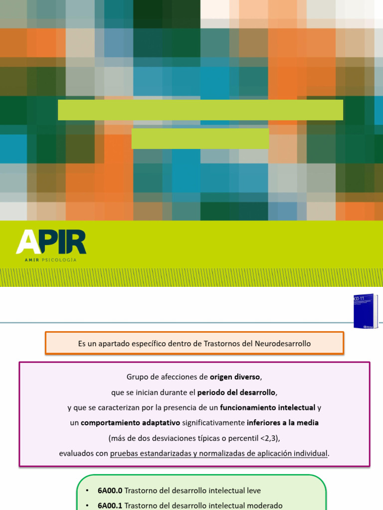 Manual PIR | PDF | Conceptos psicologicos | Invalidez