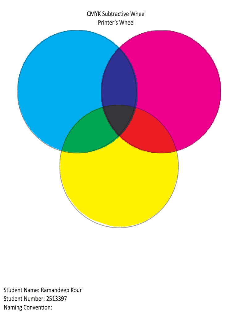 Fnd111 Sp2025 Assignment1.1 Kour Ramandeep 2513397 | PDF