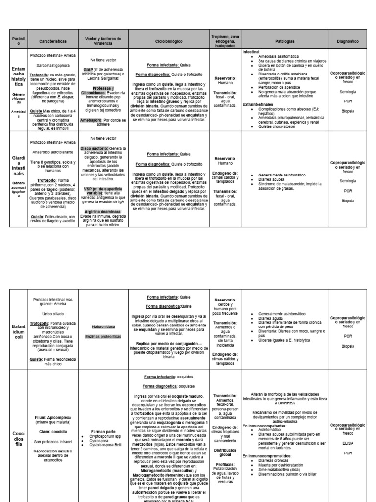 Parasitos Sofi | PDF