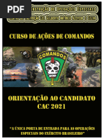 Ap. Digital - Toystory Encanto de Menina-Compactado | PDF