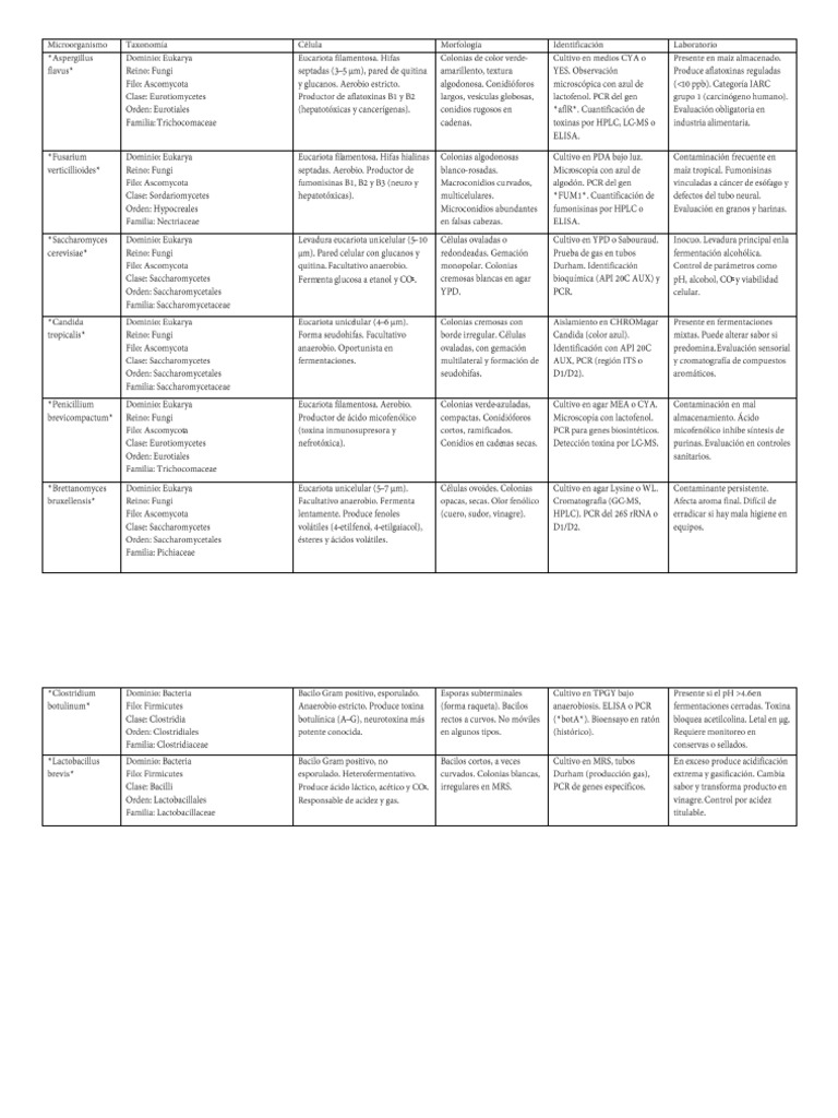 Cuadro Microorganismos Chicha Jora DETALLADO | PDF