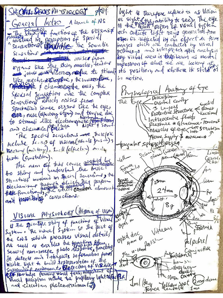 Special Senses by Dr. Suraj. | PDF