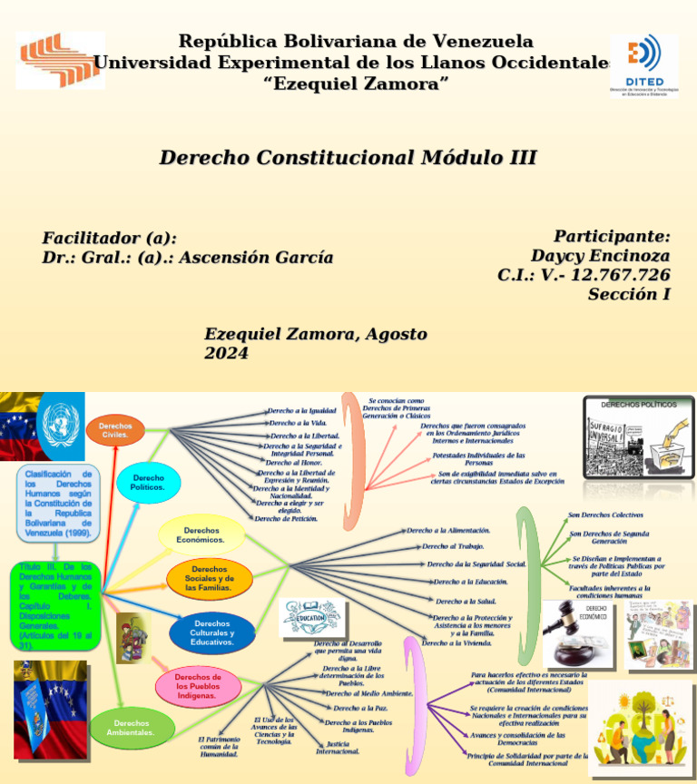 Mapa Mental Conceptual de Los Derecho Humanos Segun Constitucion | PDF